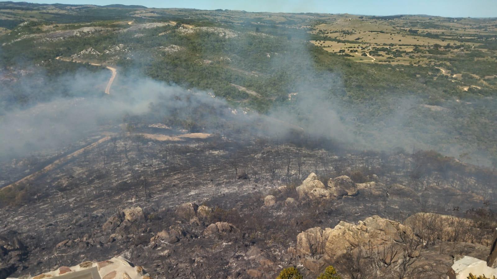 Incendio cerca de Pueblo Edén arrasó con 40 hectáreas; bomberos ...