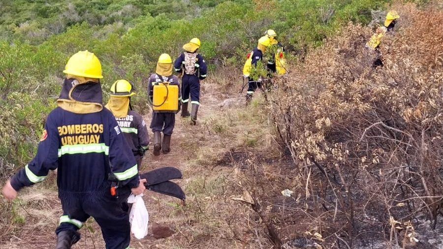 Piriápolis: Bomberos con brigadas forestales siguen trabajando en ...