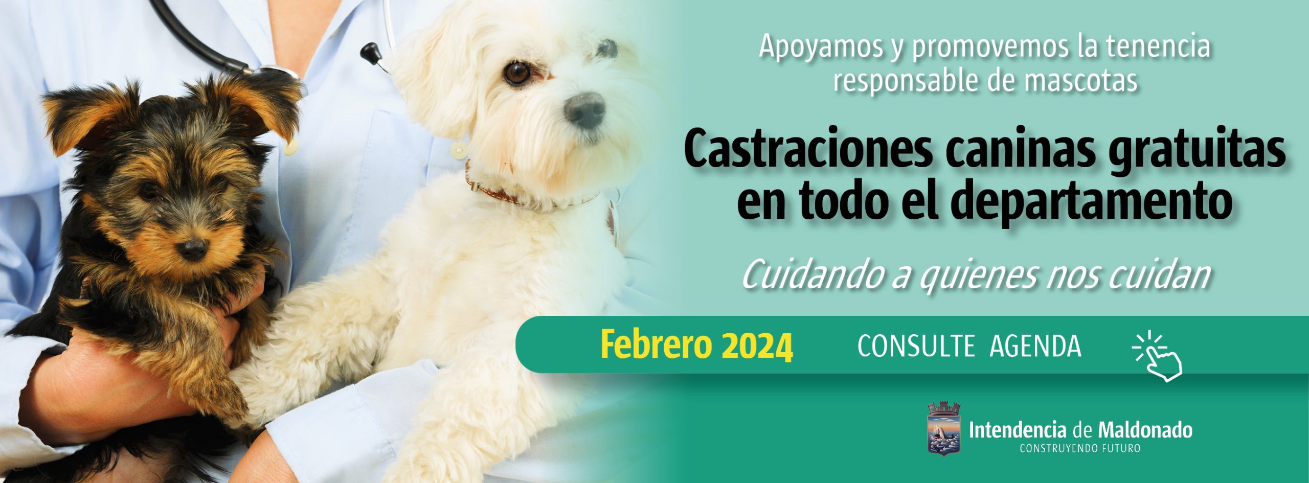 castraciones-caninas-gratuitas-2024 | Semanario La Prensa