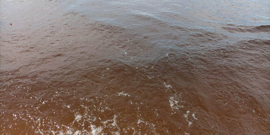 IDM detecta la aparición de organismos vivos que son los que provocan ...